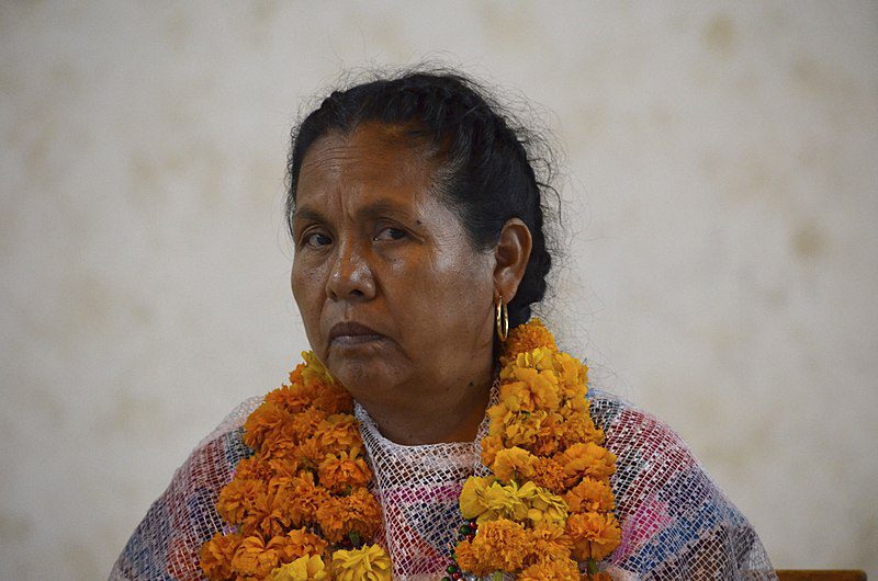 Mexican Indigenous leaders on U.S. tour explain why Marichuy is running ...