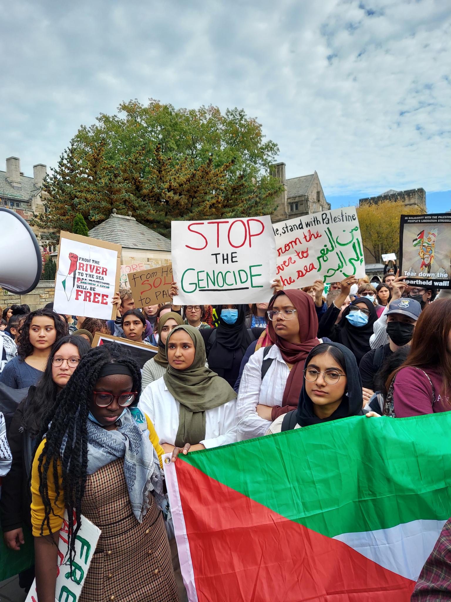 Israel’s pinkwashing ‘task force’ aims to crush growing Palestine ...
